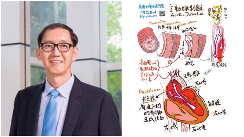 主動脈剝離是急性殺手醫點名4種人風險高 祝你健康 三立新聞網 HEALTH SETN