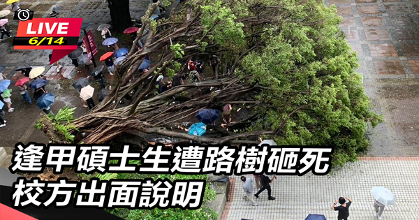逢甲碩士生遭路樹砸死 校方出面說明│Live線上直播│三立新聞網 SETN.COM