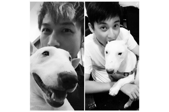 去當天使吧！Kid、Eason失愛犬 永恆的12年回憶 | 娛樂星聞