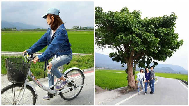 蔡依林揪閨密赴伯朗大道 網：台東多了一棵Jolin樹！ | 娛樂星聞