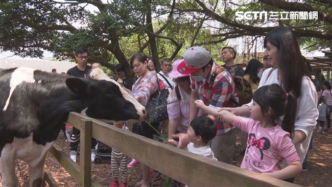 明年假期拍板！總放假115天 228連假3天、中秋4天 | 政治 | 三立新聞網 SETN.COM