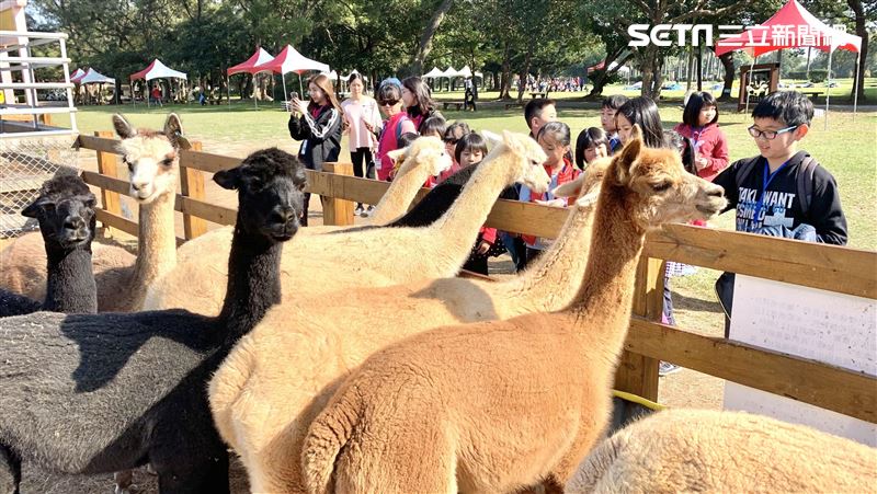 老大洩天機／暖氣團湊熱鬧 吳德榮：228連假晴暖白天熱 | 生活 | 三立新聞網 SETN.COM