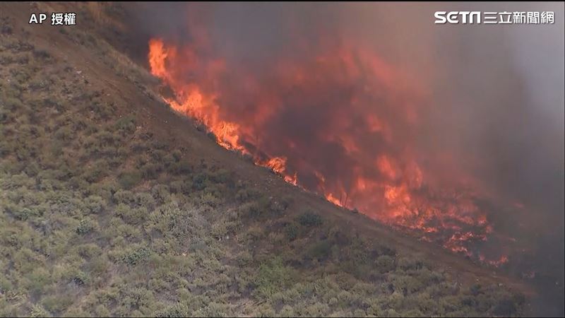 煙火釀禍？美國加州灌木林大火 恐燒超過1000英畝 | 國際 | 三立新聞網 SETN.COM