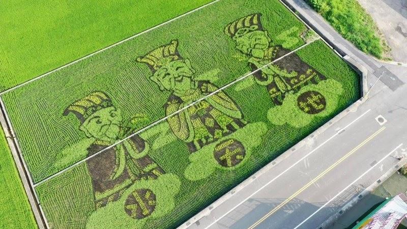 苗栗期間限定「彩繪稻田」 登上360度觀景台眺望超壯觀 | 專欄 | 三立新聞網 SETN.COM