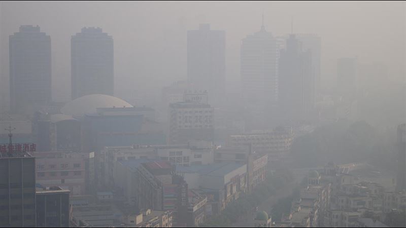 97%國家空氣品質「不健康」 PM 2.5深入肺部致死 | 專欄 | 三立新聞網 SETN.COM