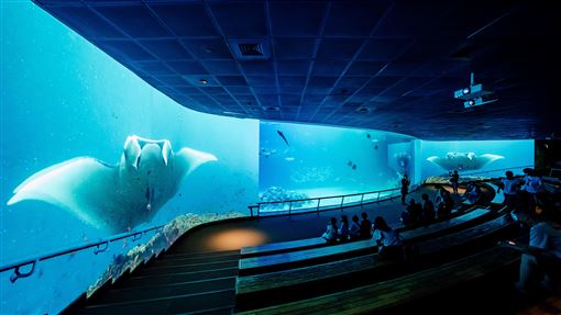 《出發吧女孩》前進澎湖 三天三夜OH HIGH YO！ | 娛樂星聞