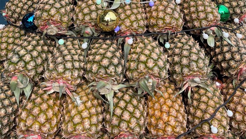 獨家／超狂耶誕樹！民眾搶拍「210顆旺來」旺到兔！3個大男生曝堆疊秘辛 | 生活 | 三立新聞網 SETN.COM