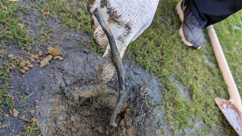 新竹棒球場152缺失！現勘畫面曝「挖出磚頭和電纜」高虹安：檢調已立案 | 政治 | 三立新聞網 SETN.COM