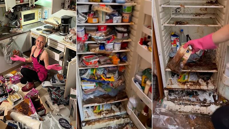 最狂大掃除！她清潔「封印3年冰箱」全發霉滲汁 把7500萬網友噁爆了 | 國際 | 三立新聞網 SETN.COM
