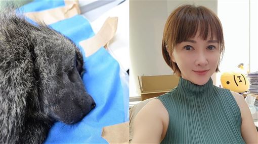 Sandy懷胎9月深夜罕爆氣！外送「2.5小時才收到」網傻眼：超討厭等食物 | 娛樂星聞