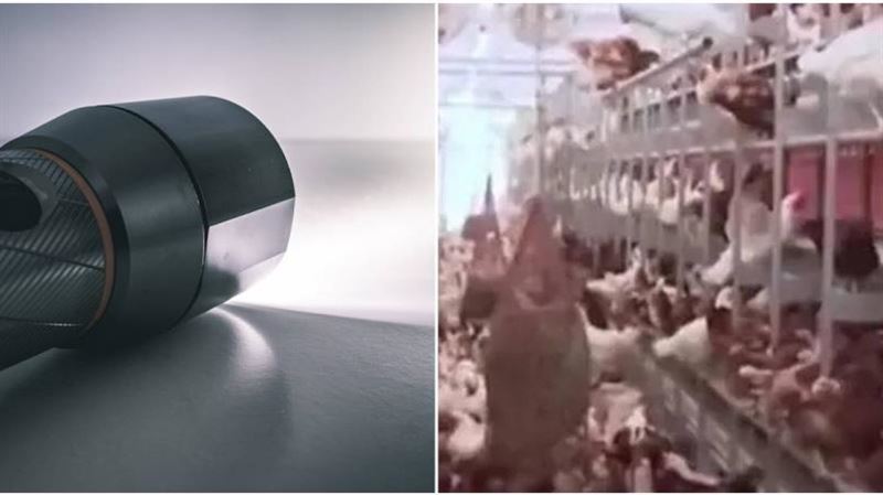 拿手電筒嚇雞…1100隻身亡 男「玩出雞命」下場真的GG了 | 兩岸(大陸) | 三立新聞網 SETN.COM