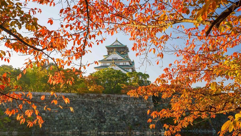 日本賞楓季早鳥開跑！大阪飯店「1人只要1100元」 含早餐、點心吃到飽 | 旅遊 | 三立新聞網 SETN.COM