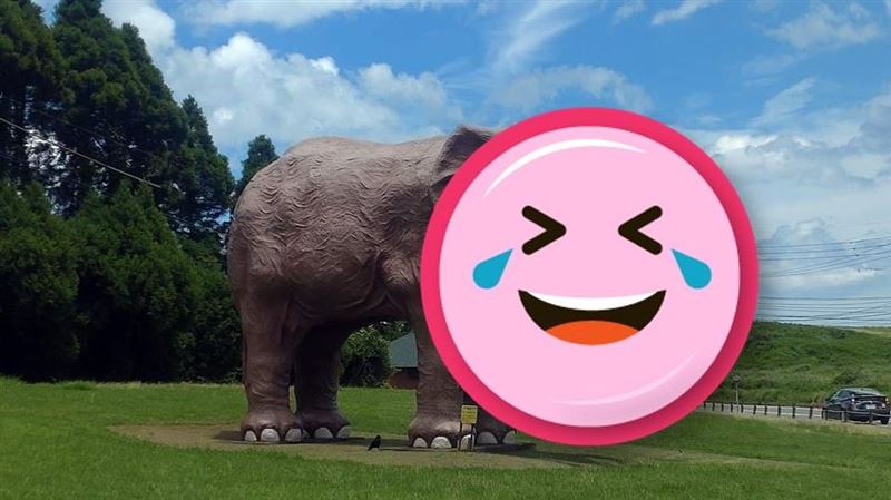 大象照片被判定「裸露不宜」！他馬賽克1處竟ok了 網笑瘋 | 生活 | 三立新聞網 SETN.COM