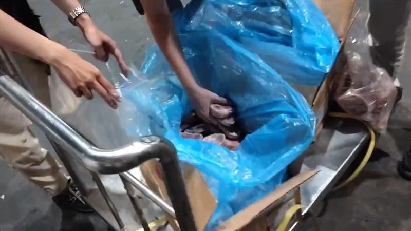 8500公斤美豬「洗產地」變加豬！騙過「61家下游廠商」 桃檢分案調查 | 生活 | 三立新聞網 SETN.COM