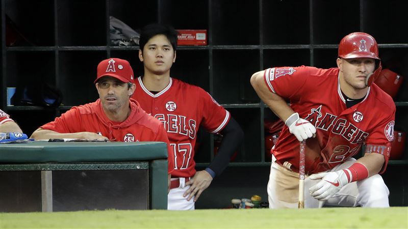 洋基新任板凳教練出爐 2019年曾執教大谷翔平！2012年帶以色列打WBC | 運動 | 三立新聞網 SETN.COM