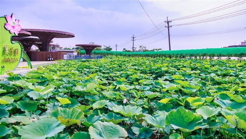 最頂農場不是清境！「這地方」台灣人最愛 1年狂吸226萬觀光客 | 生活 | 三立新聞網 SETN.COM