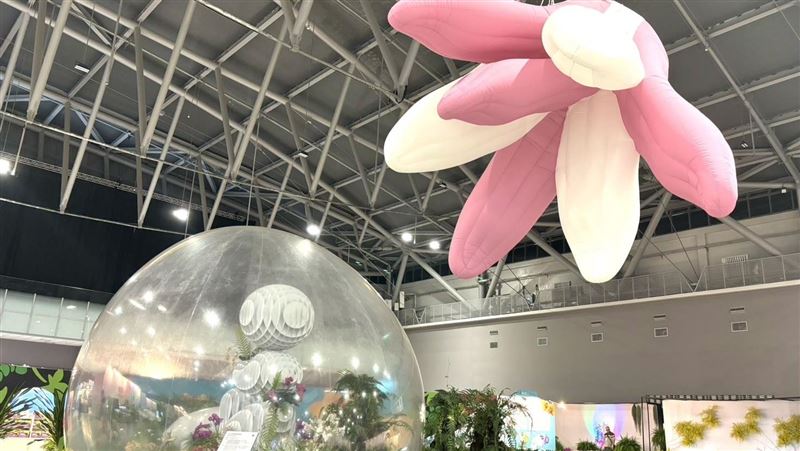 62國熱烈響應！蘭花界盛事臺南聯展 絕美「蘭花國旗牆」驚艷全場 | 生活 | 三立新聞網 SETN.COM