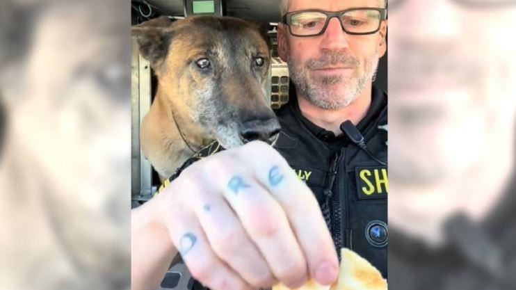 台灣「這零食」紅到歐美！外國警察狂嗑2包 33萬人敲碗：要去哪裡買 | 生活 | 三立新聞網 SETN.COM