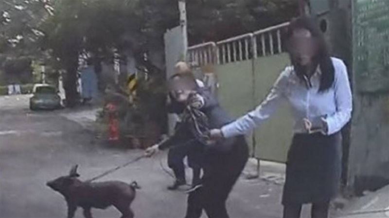 撞見黑豬逛大街！3黑絲襪OL抄掃把拚了 搏鬥畫面曝光 | 社會 | 三立新聞網 SETN.COM