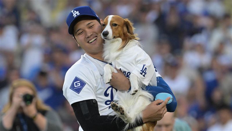 MLB／愛犬Decoy開球加持 大谷翔平「首局首打席」炸42轟 | 運動 | 三立新聞網 SETN.COM