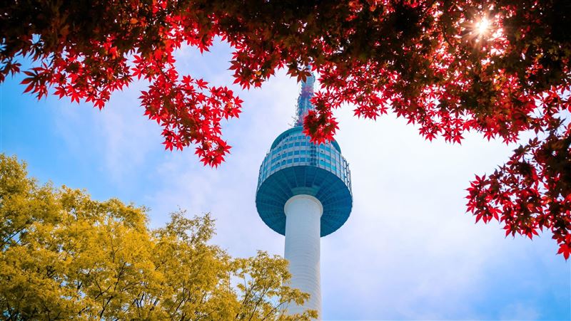 ITF／旅行社超殺優惠一次收！韓國賞楓4日、沖繩4日通通1萬有找 | 生活 | 三立新聞網 SETN.COM