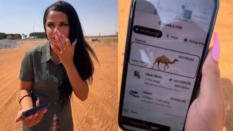 女子被困杜拜沙漠！ 竟用Uber叫到「駱駝」搭乘離開 | 國際 | 三立新聞網 SETN.COM