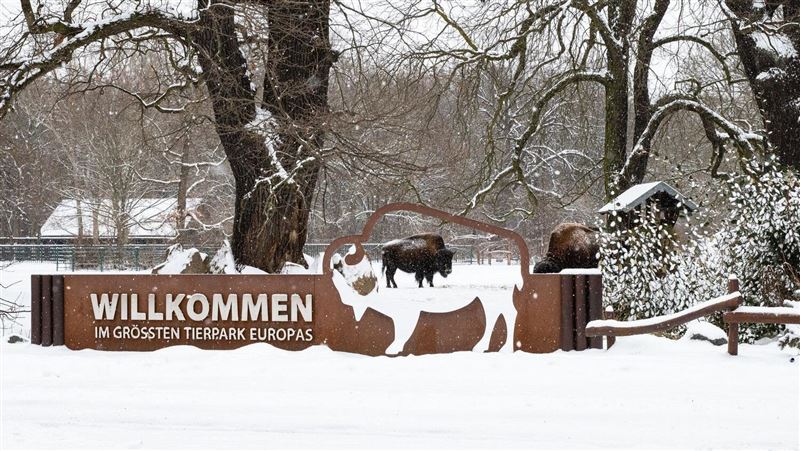 德國時隔37年爆發口蹄疫 柏林動物園宣布暫關閉 │ 旅遊頻道 │ 三立新聞網 SETN.COM