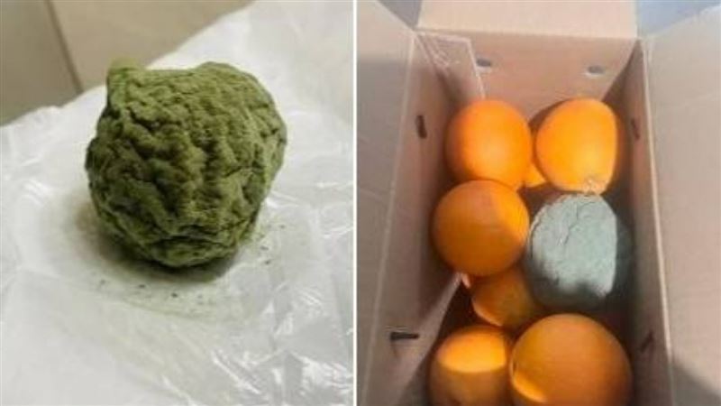 橘子發霉變綠…女上網賣「2300元」成交 網看傻：買來幹嘛？ | 兩岸(大陸) | 三立新聞網 SETN.COM