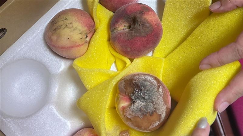 有圖有真相！拉拉山買水蜜桃2盒1200 消費者氣炸「只有1顆能吃」 | 生活 | 三立新聞網 SETN.COM