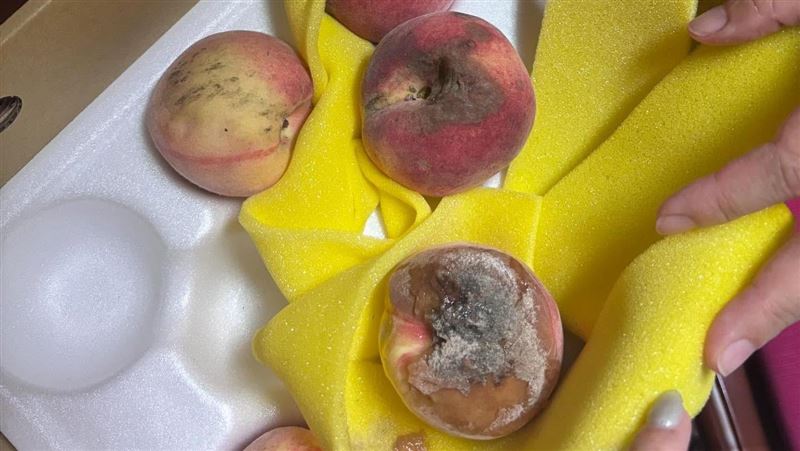 1200買了個寂寞！拉拉山水蜜桃「僅1顆能吃」找到業者：賠償2盒 | 生活 | 三立新聞網 SETN.COM