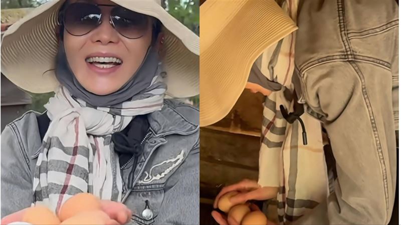 不只爬樹！張曼玉隱居農村「包緊緊變農婦」撿雞蛋生活 60歲近況曝光 | 娛樂星聞 | 三立新聞網 SETN.COM