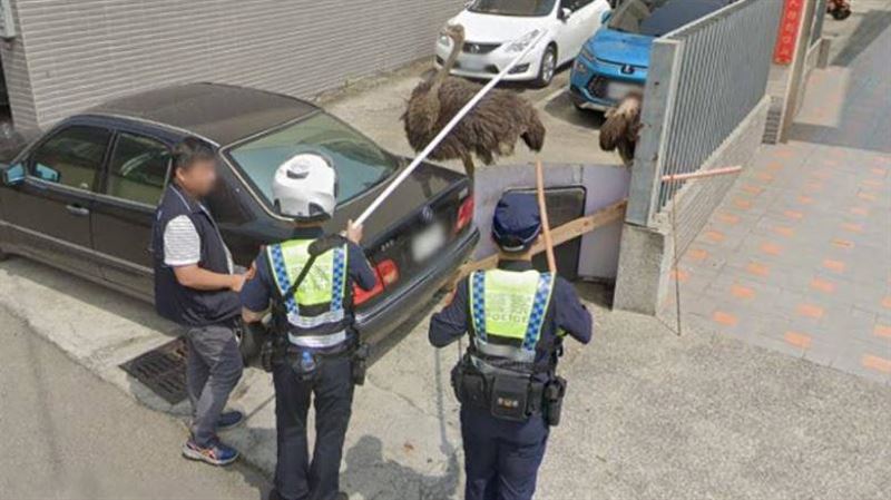 狂奔15公里！Google街景神捕捉「鴕鳥追逐戰」 警持板圍捕笑翻全網 | 社會 | 三立新聞網 SETN.COM